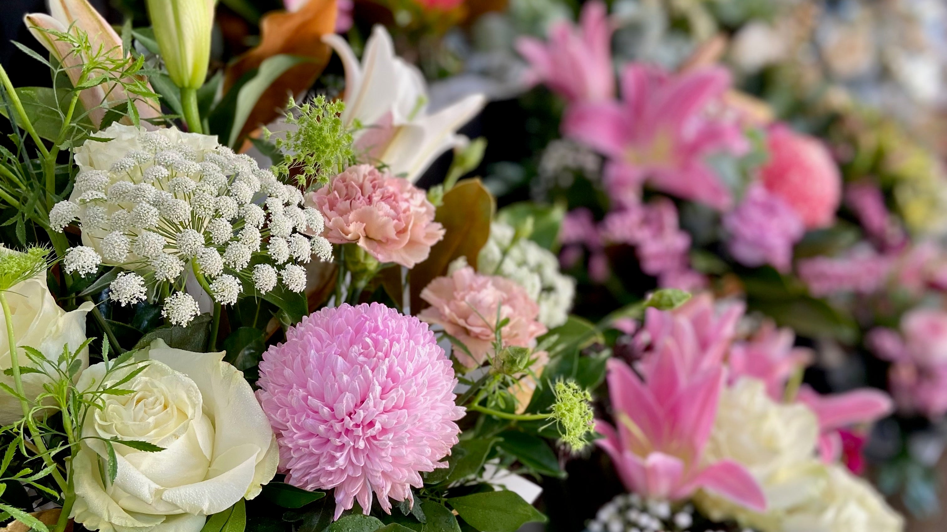 Paradise Point Florist - Gold Coast Flower Delivery Shop Online